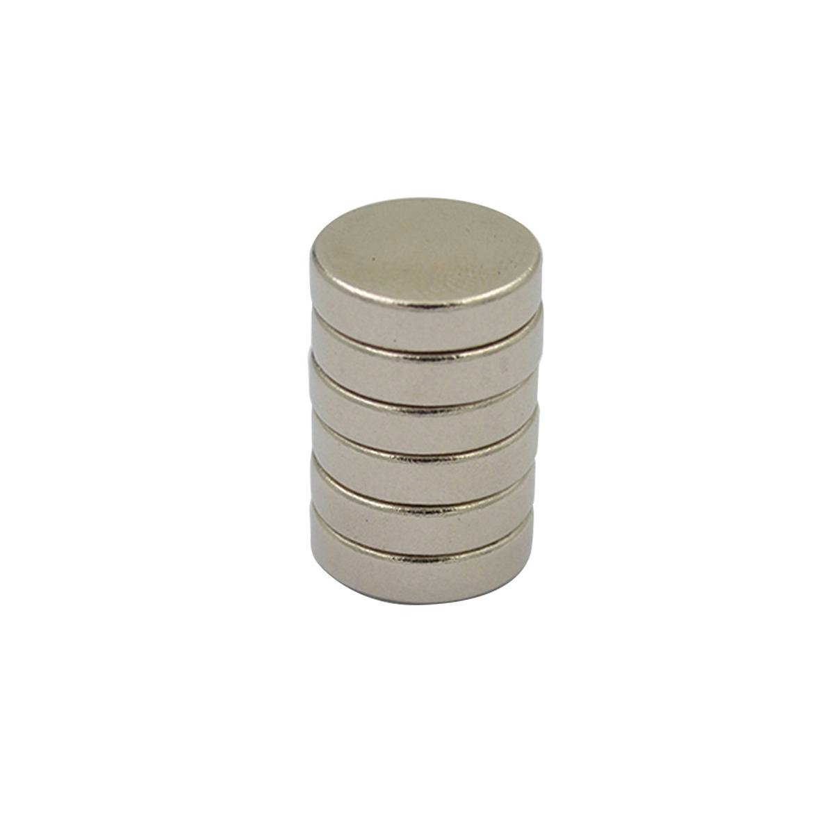 Everhang 12mm Rare Earth Disc Magnet - 6 Pack - Bunnings Australia