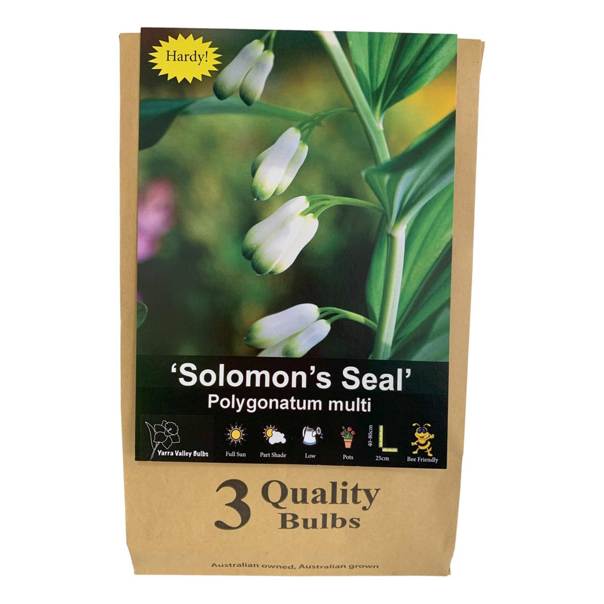 Yarra Valley Bulbs Polygonatum Multiflorum - 3 Pack - Bunnings Australia