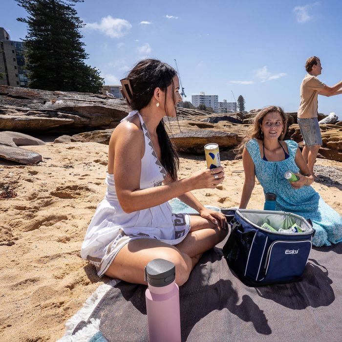 Esky 30 Can Blue Soft Cooler Bag - Bunnings Australia