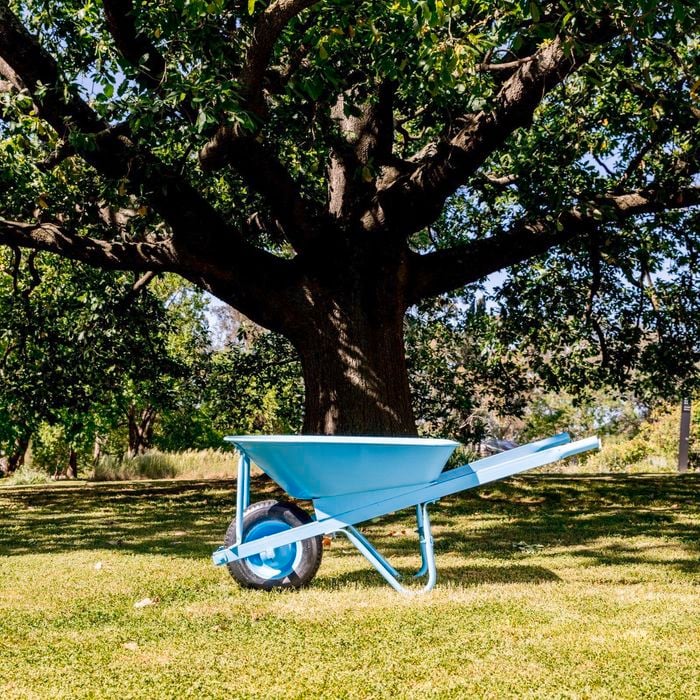 White Knight Rust Guard Solvent Cleaner Paint Thinner - 1L - Bunnings ...