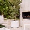 Tuscan Path 55cm White Gavin Planter - Bunnings Australia