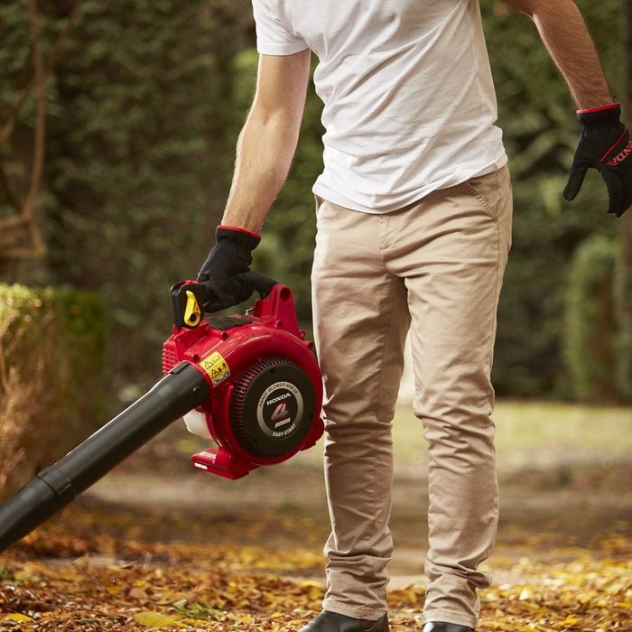 Honda 25cc 4 Stroke Leaf Blower Bunnings Australia