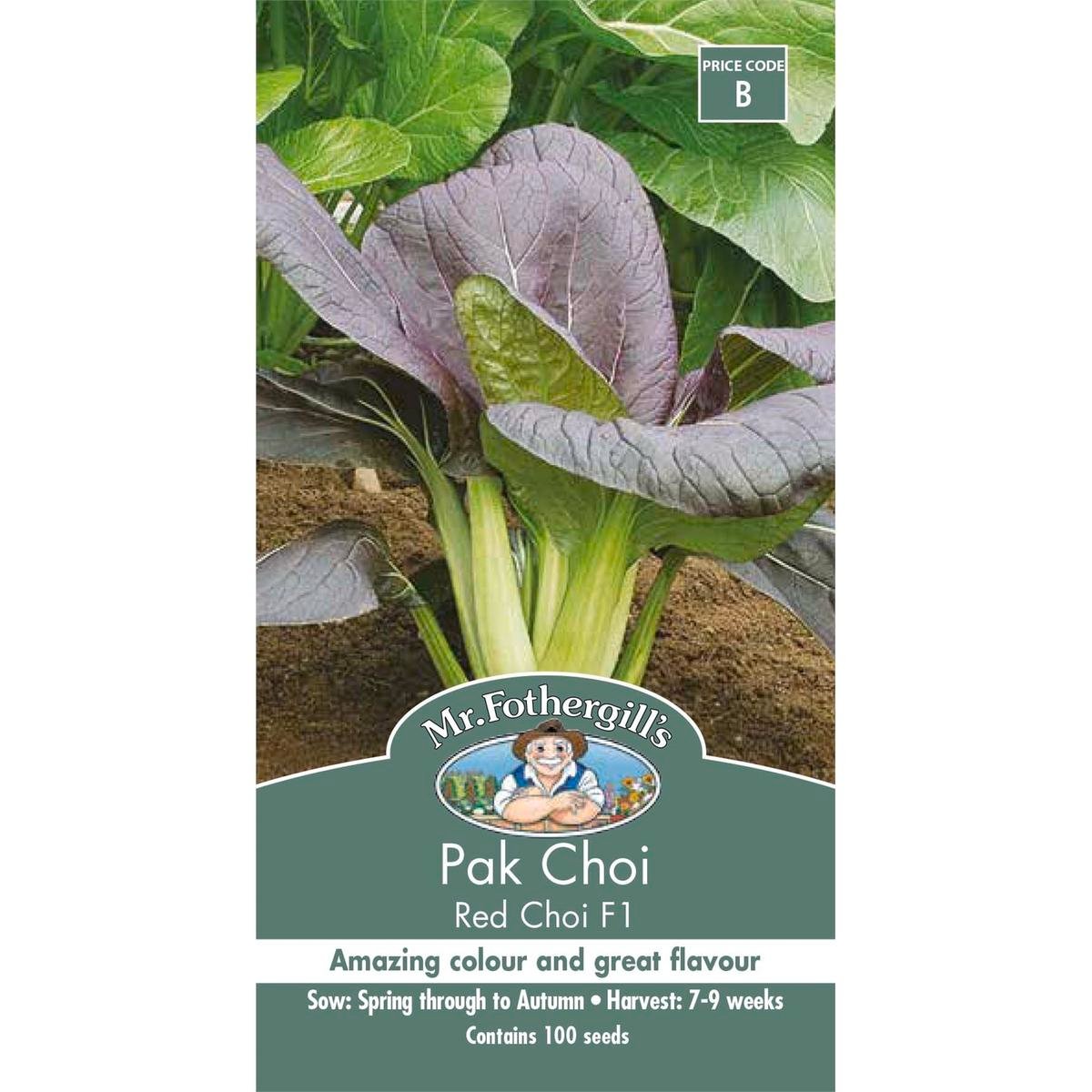 Mr Fothergill's Pak Choi Red Choi F1 Seeds - Bunnings Australia