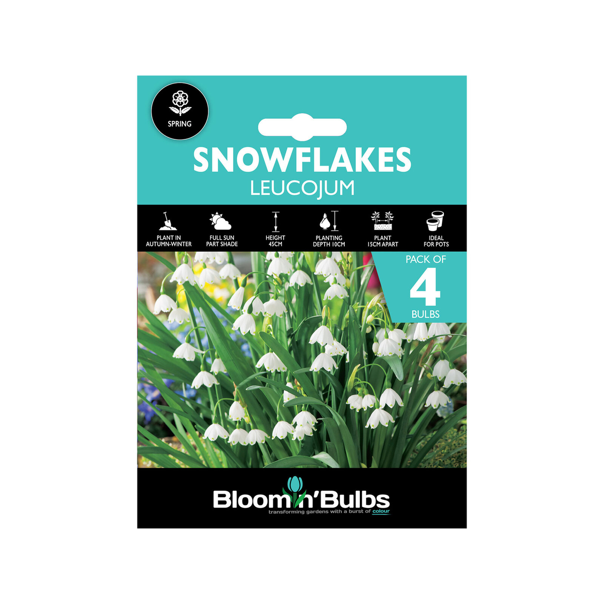 Bloomin' Bulbs Leucojum Snowflakes - Leucojum vernum - 4 Pack ...