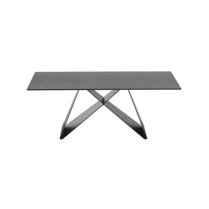 Raimon Furniture Odette Rectangular Coffee Table Black Metal Frame Shadow Grey Ceramic