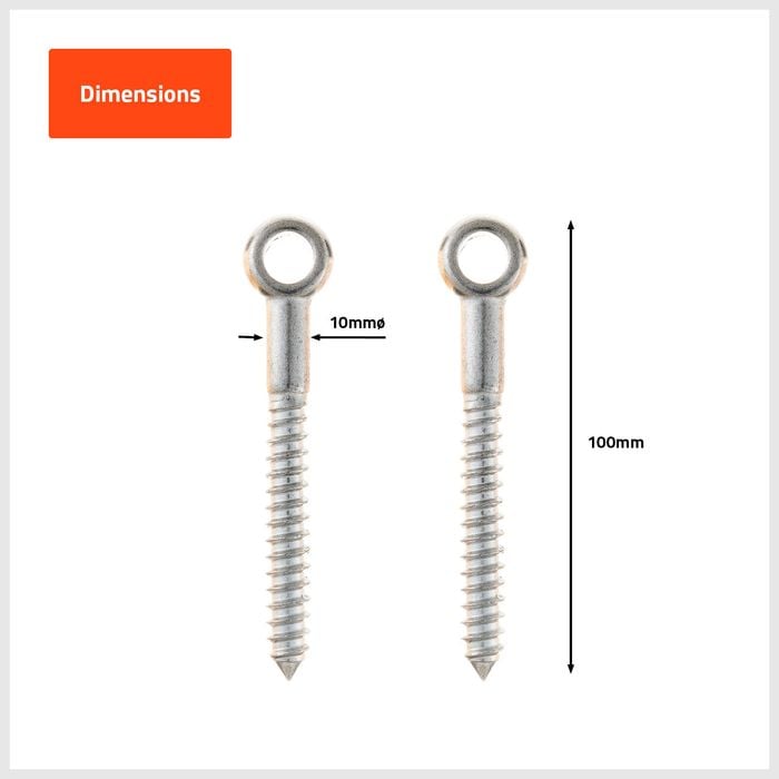 Taskmaster 10mm 316 Stainless Steel Lag Screw - 2 Pack - Bunnings Australia
