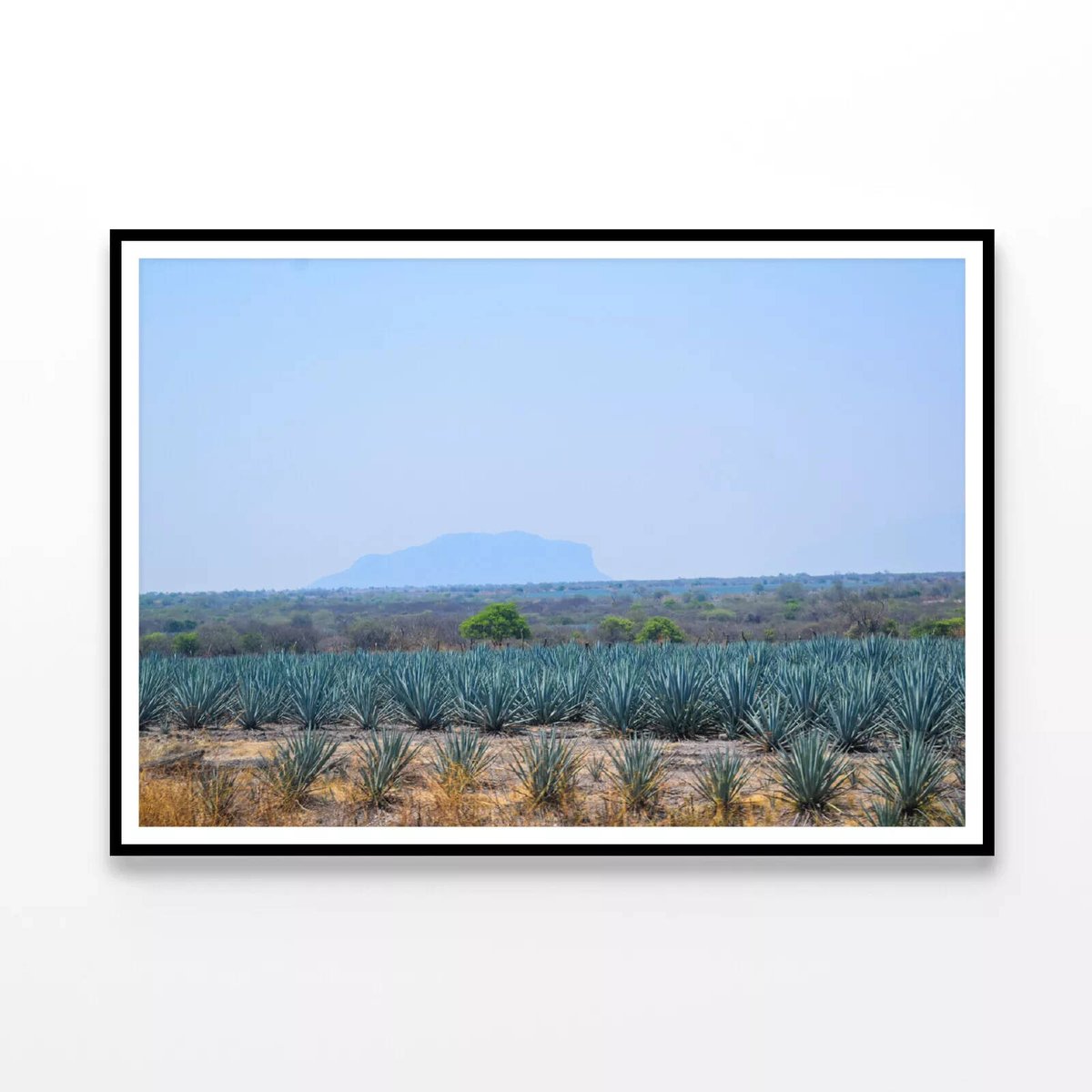 Green Plants with a Mountain Print 100% Australian Made 120x90cm ...