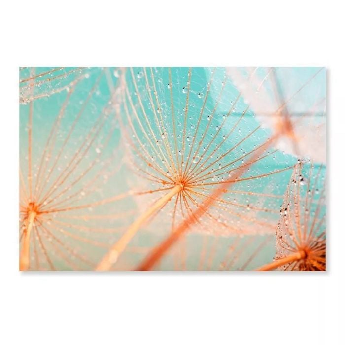 Dandelion & Water Drops Print 100% Australian Made 150 x 100cm (Acrylic ...
