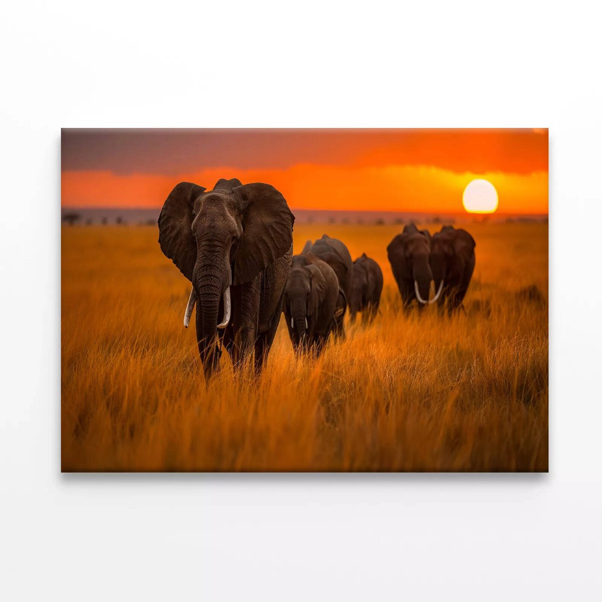 Elephants Walking Through a Field Print 100% Australian Made 120 x 90cm ...