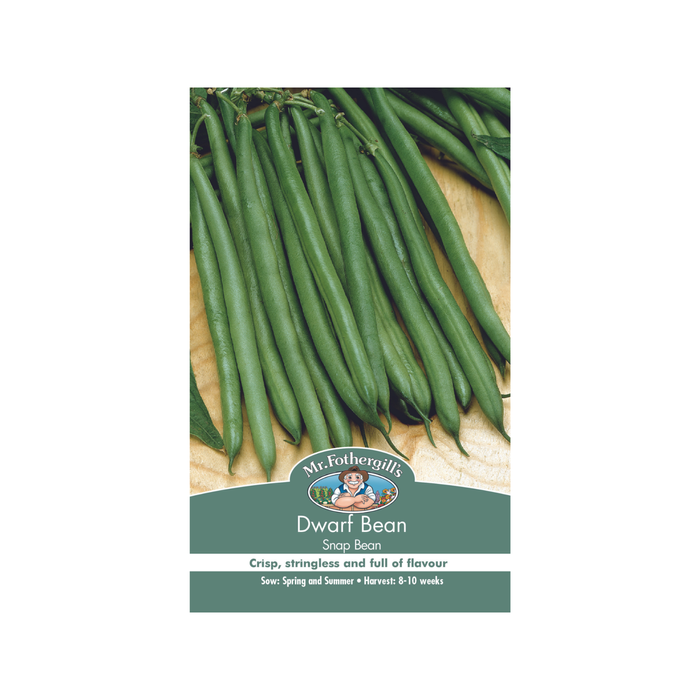 Mr Fothergill's Snap Bean Dwarf Bean Vegetable Seeds - Bunnings Australia