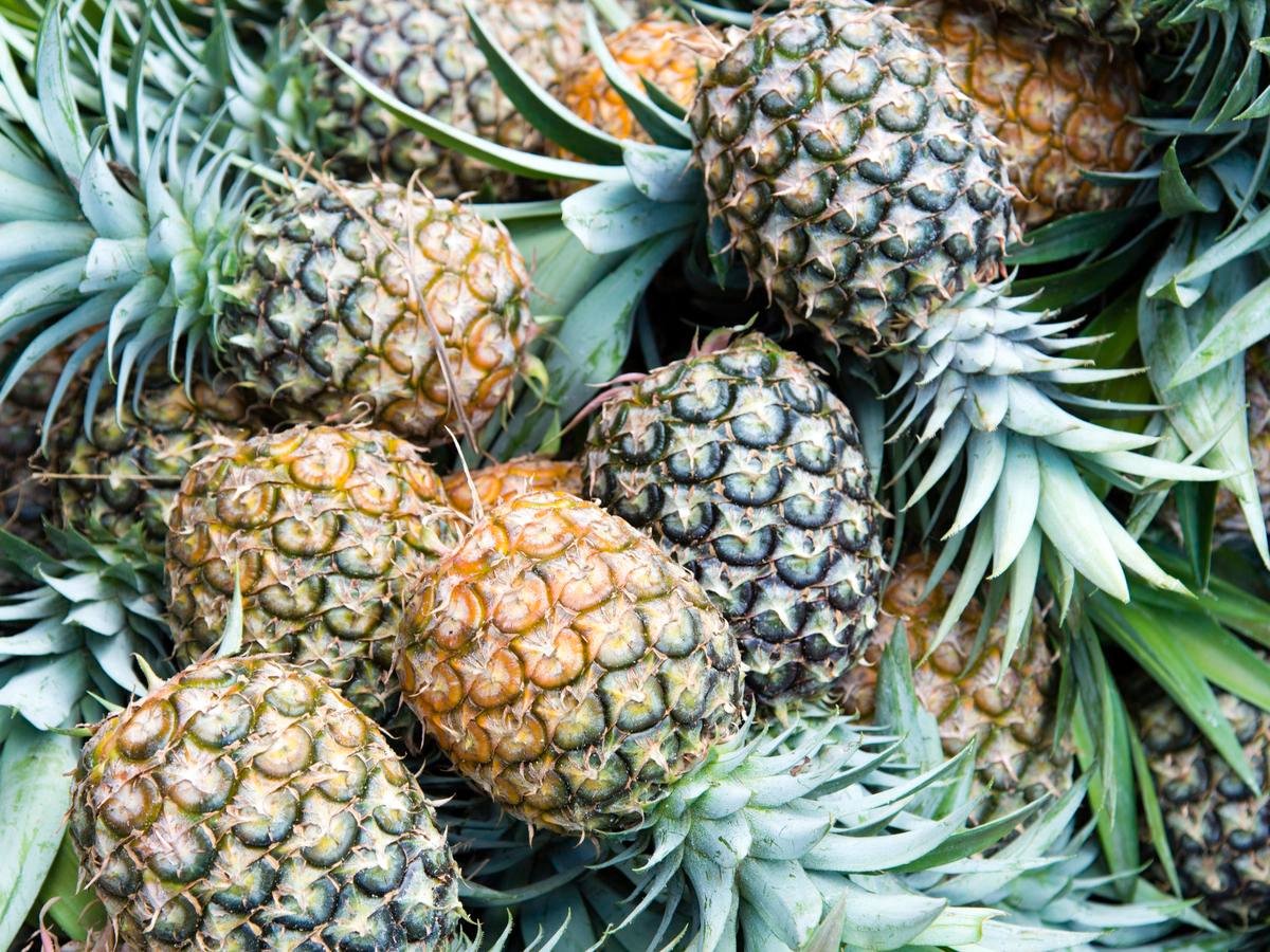 How To Plant And Grow Pineapples - Bunnings Australia