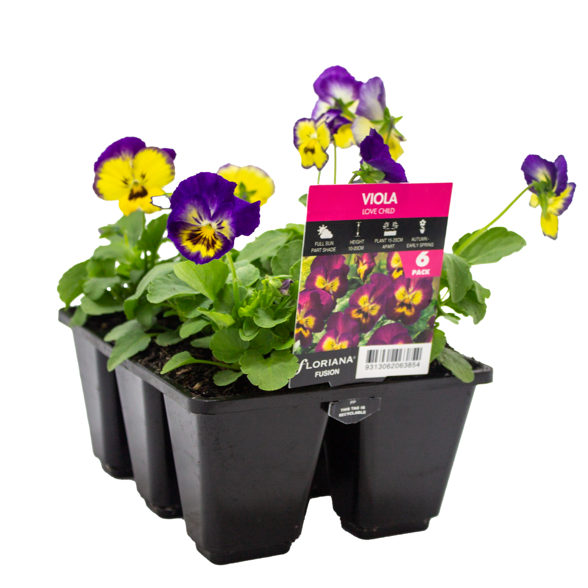 6 Cell Fusion - Viola Love Child - Viola cornuta - Bunnings Australia