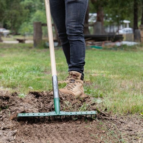 Cyclone 16T Nail Rake with Timber Handle - Bunnings Australia