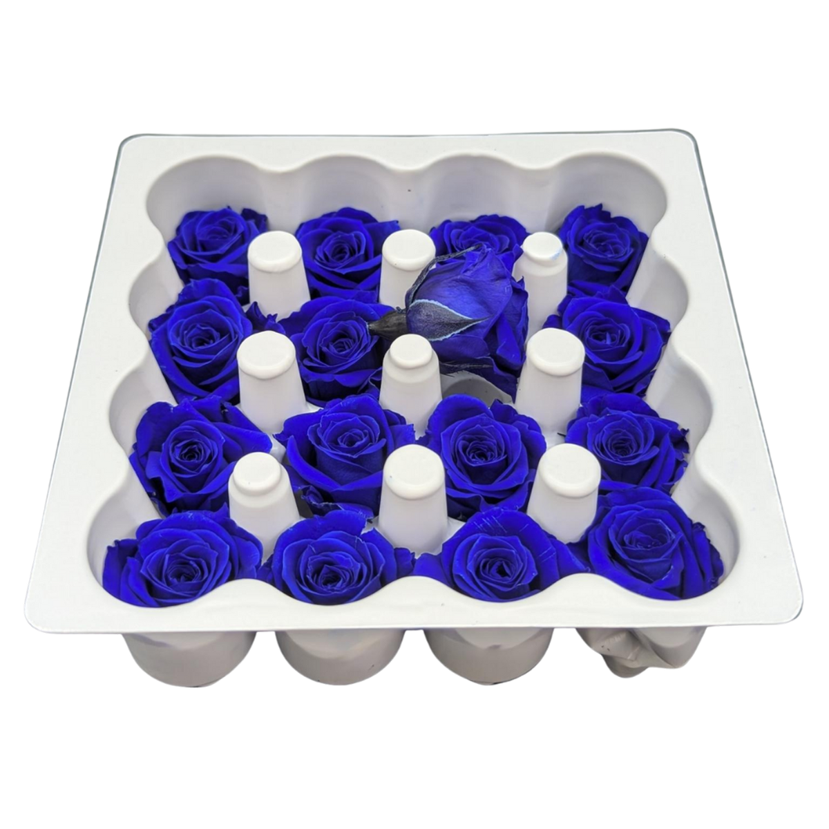 Blooms of Joy 2.5cm Dark Blue Spray Roses 16 Pack - Bunnings Australia