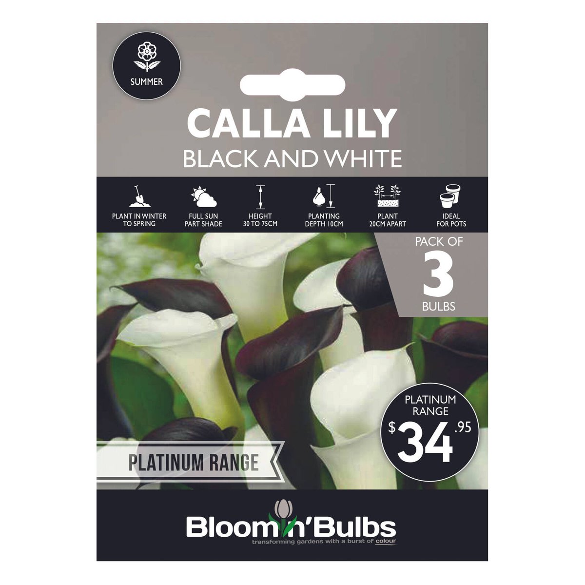 Bloomin' Bulbs Platinum Calla Lily Black And White - 3 Pack - Bunnings ...