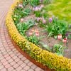 Jack 1180 x 45mm Outdoor Oxy Shield Flexible Garden Edging - Bunnings ...