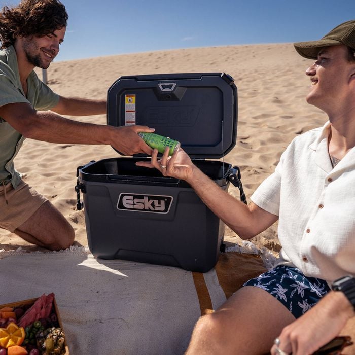 Esky 52L Grey Advanced Chest Cooler - Bunnings Australia