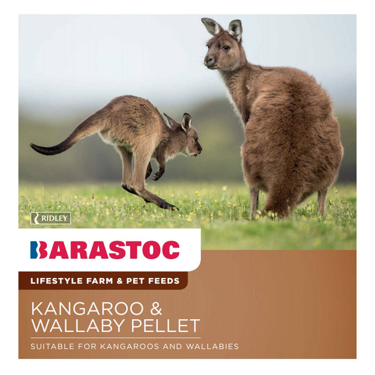 Barastoc Kangaroo & Wallaby Pellet Feed Supplement 20kg - Bunnings ...