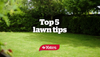 Yates 1L Turfix Lawn Weed Spray - Bunnings New Zealand