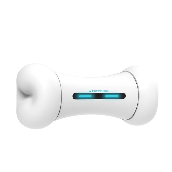 Cheerble Wicked Bone App Controlled Rechargable Remote Moving Dog Toy ...