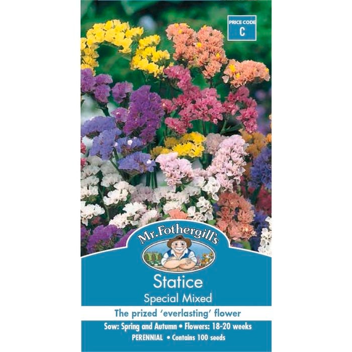 Mr Fothergill's Seed Statice Special Mix - Bunnings New Zealand