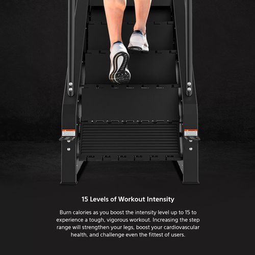 Lifespan Fitness ST-10 Stair Climber 3 Level Stepmill Machine ...