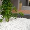 Tuscan Path 10-15mm 15kg Snow White Marble Decorative Pebble - Bunnings ...