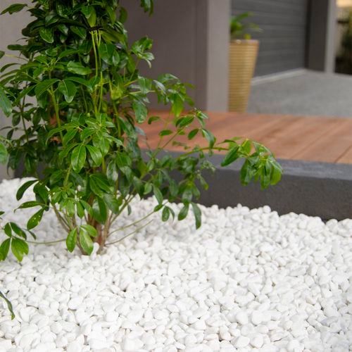 Tuscan Path 10-15mm 15kg Snow White Marble Decorative Pebble - Bunnings ...