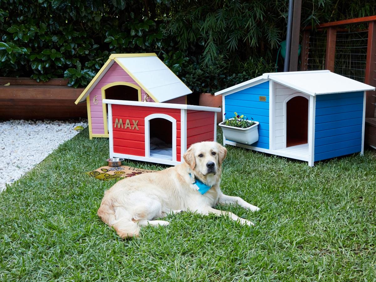 How To Paint A Kennel Bunnings Australia