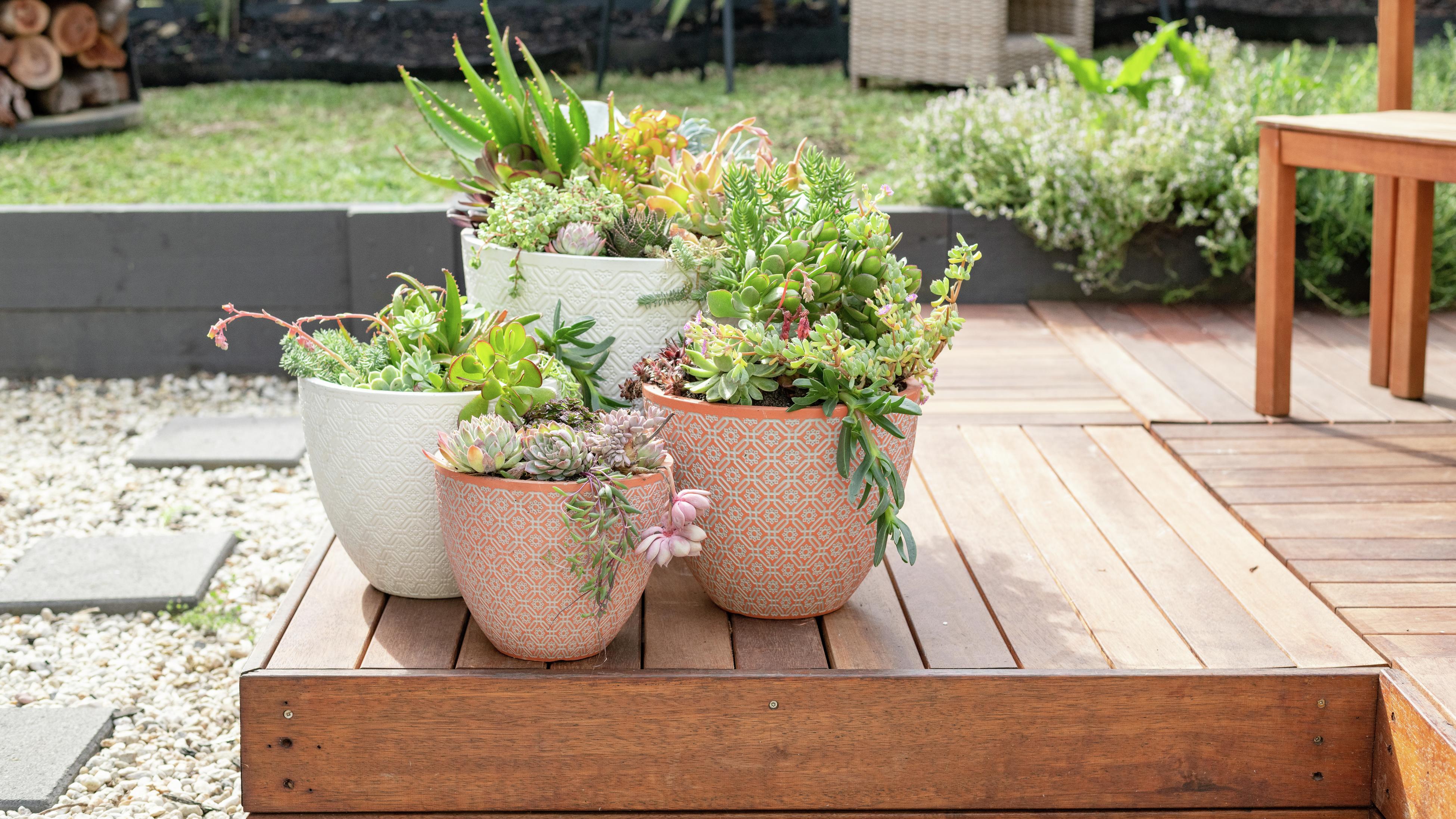 Bunnings outdoor pots store