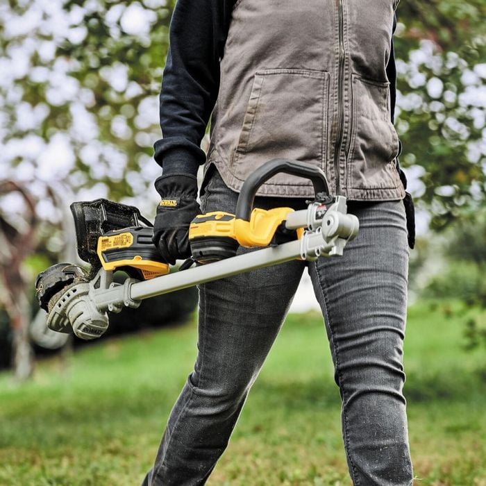 Bunnings dewalt whipper snipper store