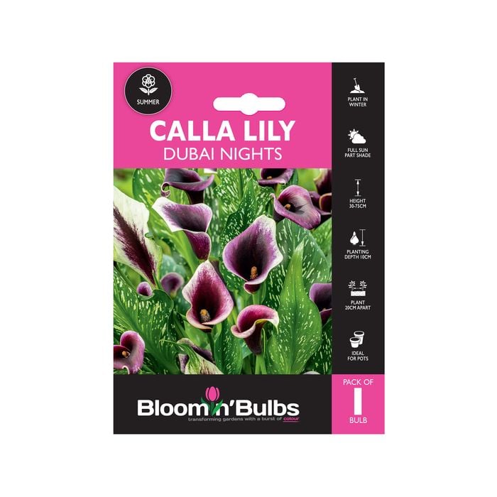 Bloomin' Bulbs Summer Pink Calla Lily Dubai Nights - 1 Pack - Bunnings Australia