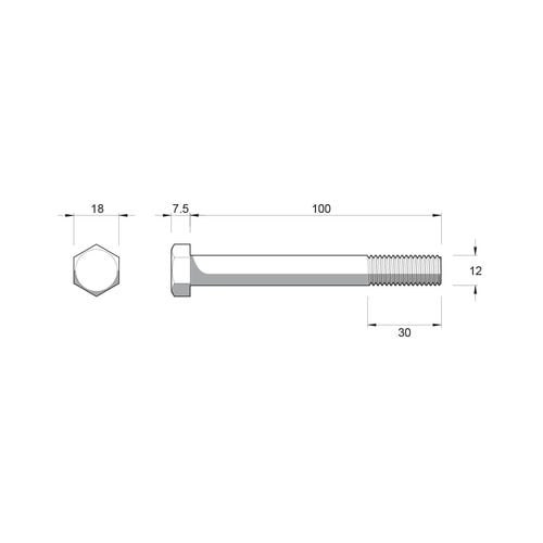 ZENITH M12 x 100mm Stainless Steel 304 Grade Hex Head Bolts And Nuts ...