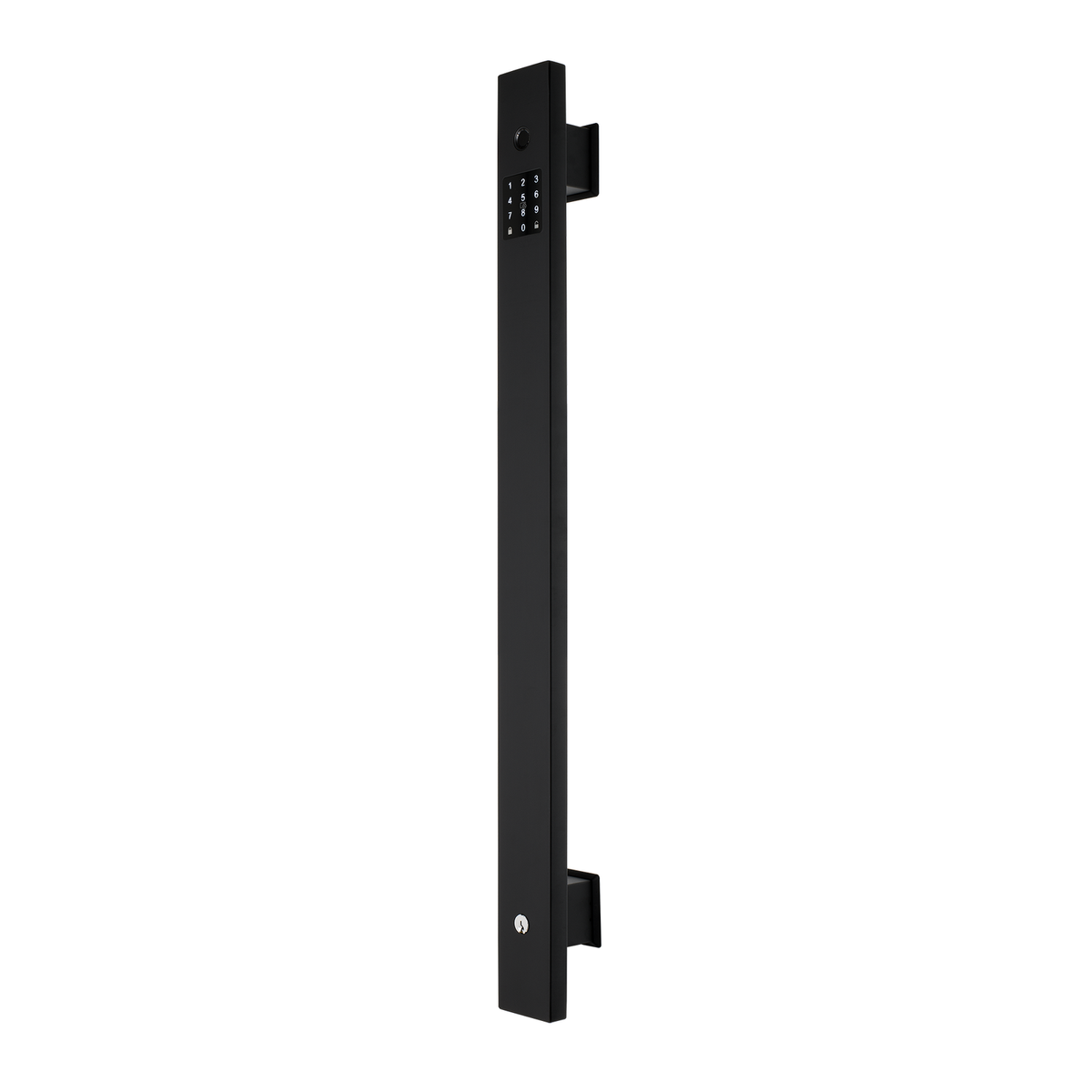 Lane 750mm Black Grande Electronic Entrance Pull Handle - Bunnings ...