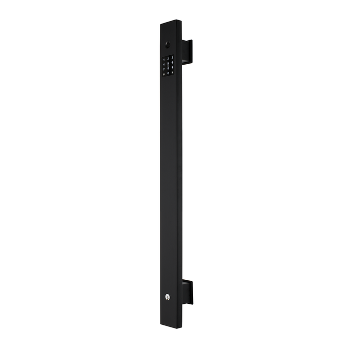 Lane 750mm Black Grande Electronic Entrance Pull Handle - Bunnings ...