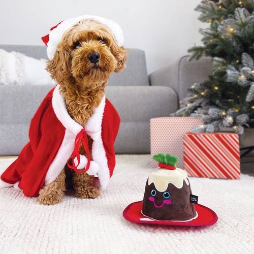 Baxter Bone Christmas Pudding Pet Toy - Bunnings Australia