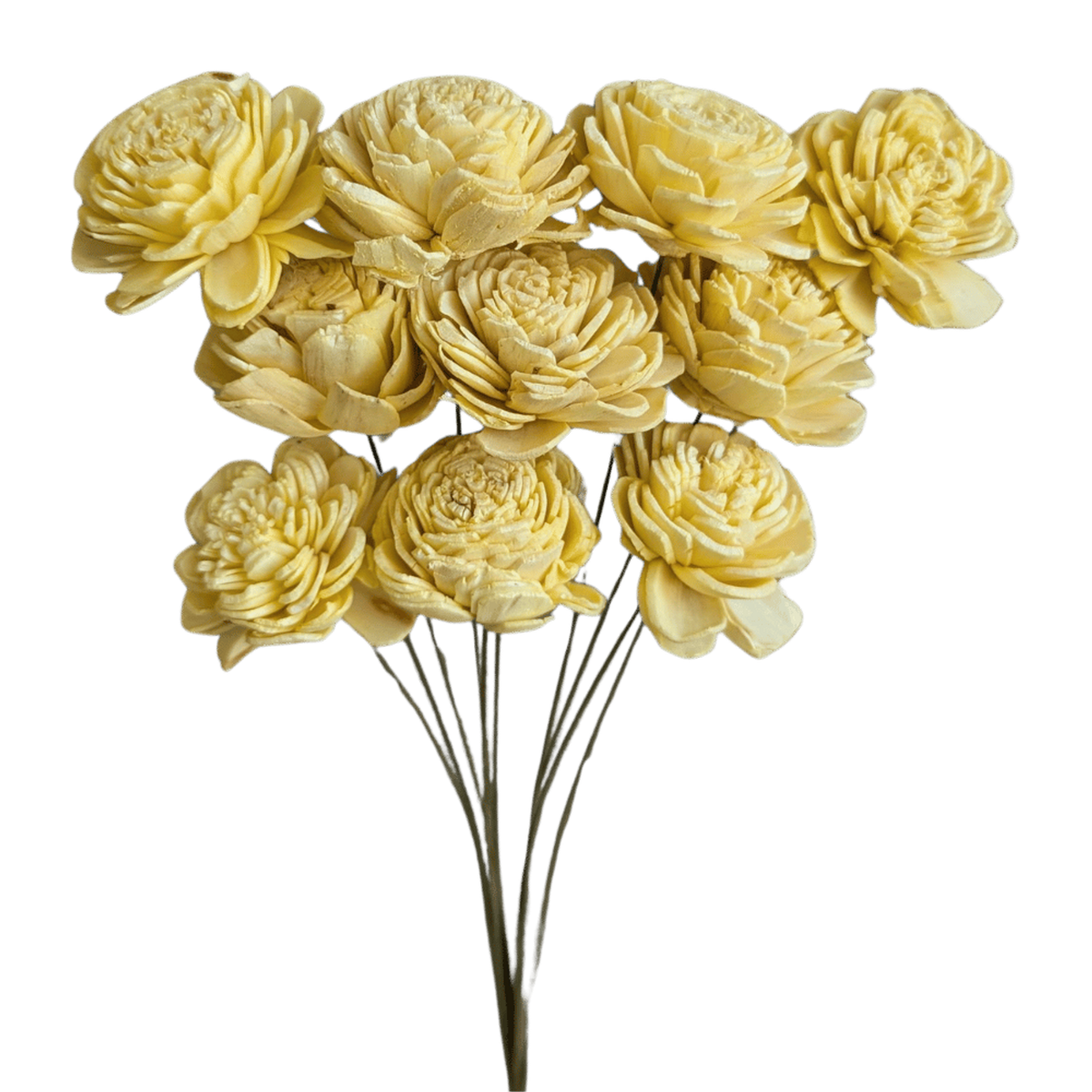 Blooms Of Joy 30cm Yellow Sola Rose Flowers - Bunnings Australia