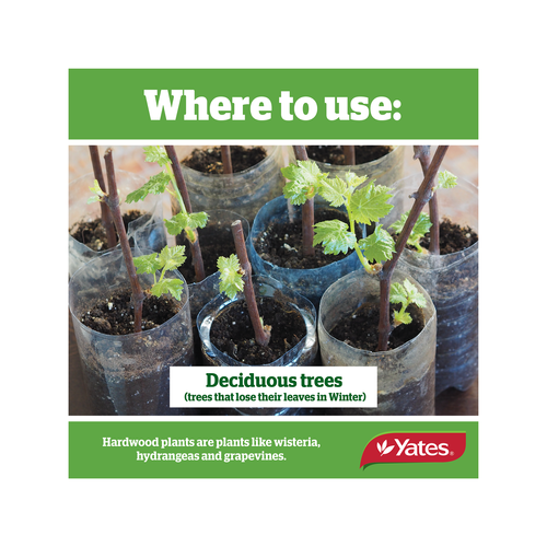 Yates 50ml Clonex Red Rooting Hormone Gel for Hardwood Cuttings ...