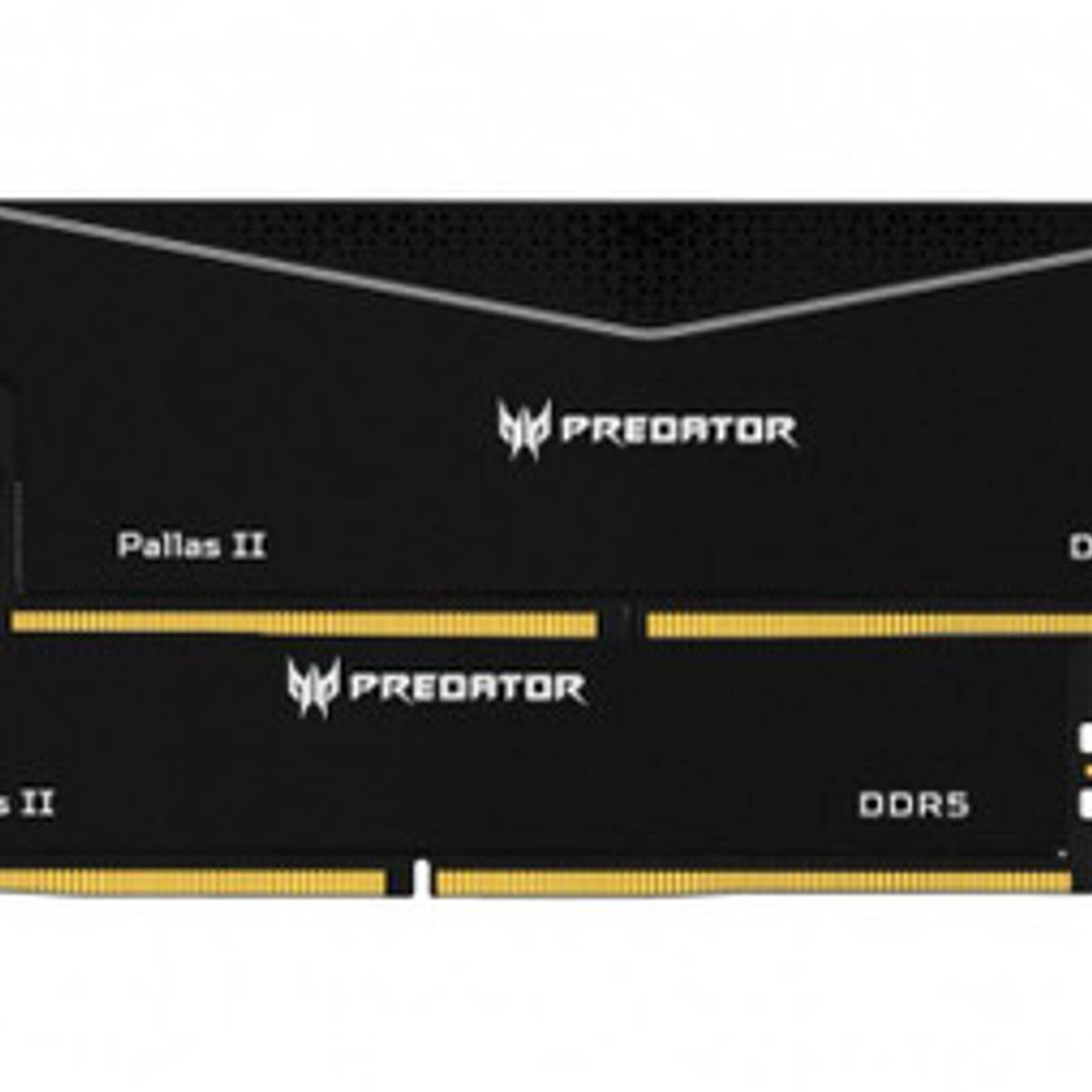 PREDATOR PALLASII DDR5 64GB Black 32GBx2 6000Mhz 1R8 CL32 Supports Intel XMP 3.0 and AMD EXPO ...
