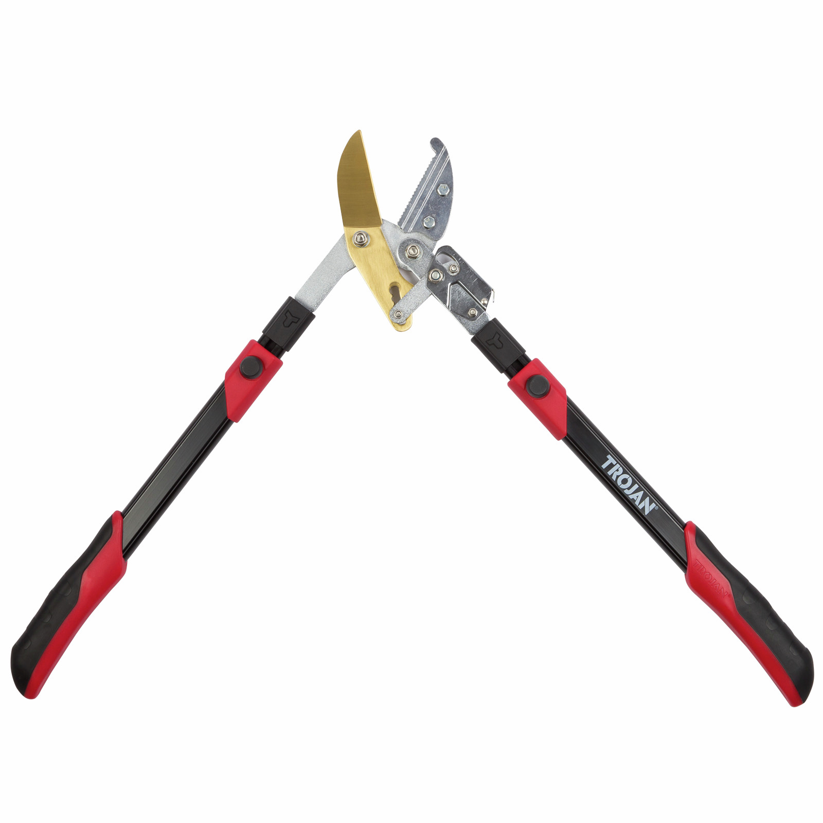 Bunnings tree lopper store