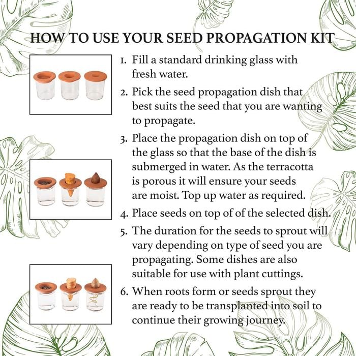 Seed Propagation Kit 3 Pack - Bunnings Australia
