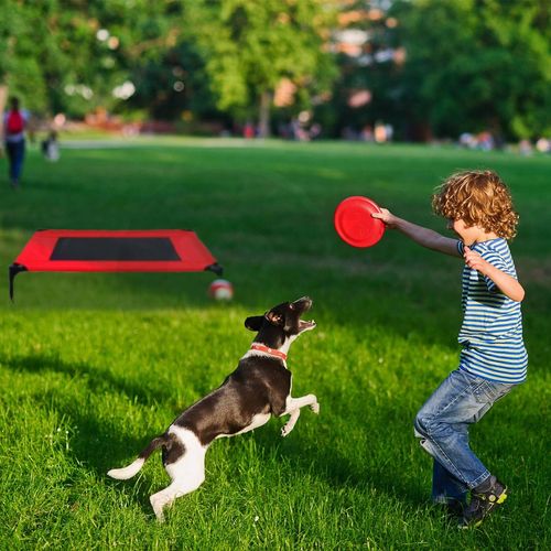 FLOOFI Elevated Camping Pet Bed (Medium, Army) - Bunnings Australia