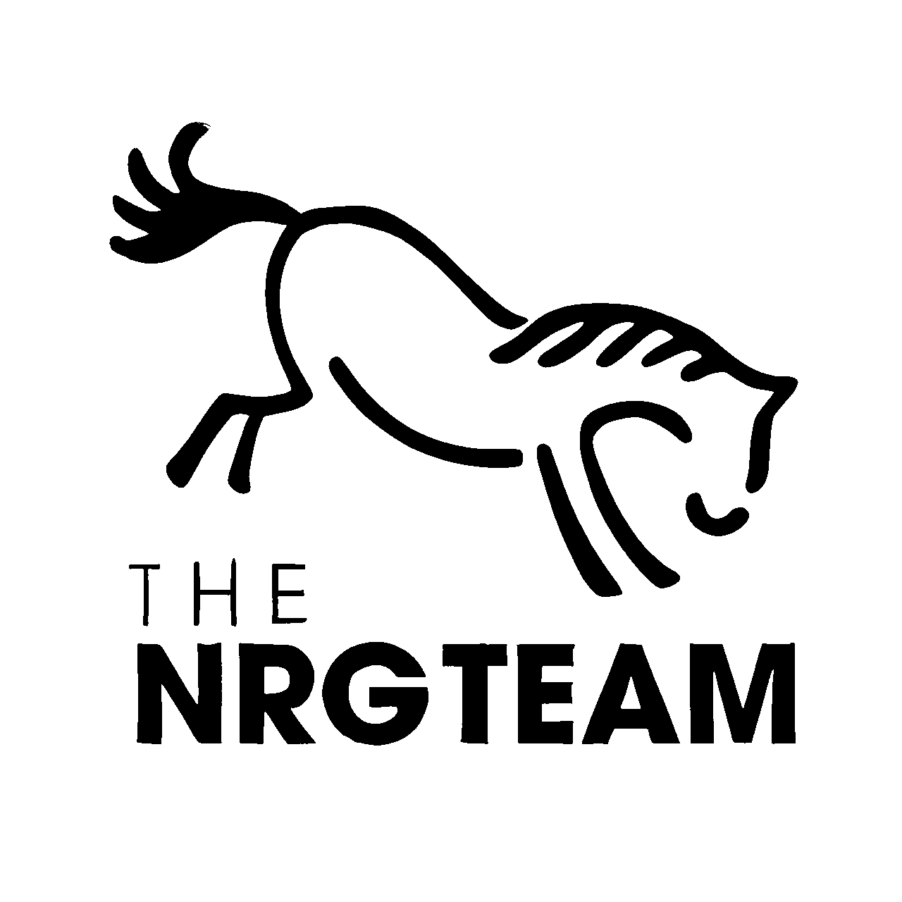 NRG - Bunnings Australia