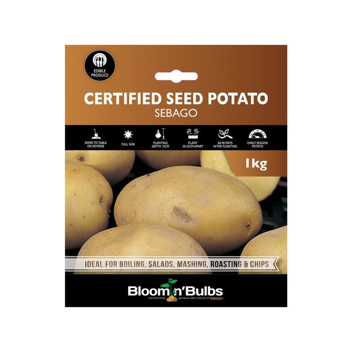 Bloomin Bulbs 1kg Certified Seed Potato Sebago - Solanum Tuberosum ...