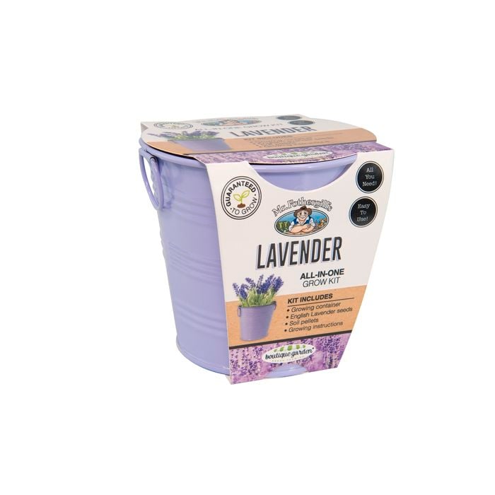 Mr Fothergill's Boutique Gardens Lavender Grow Kit - Bunnings Australia