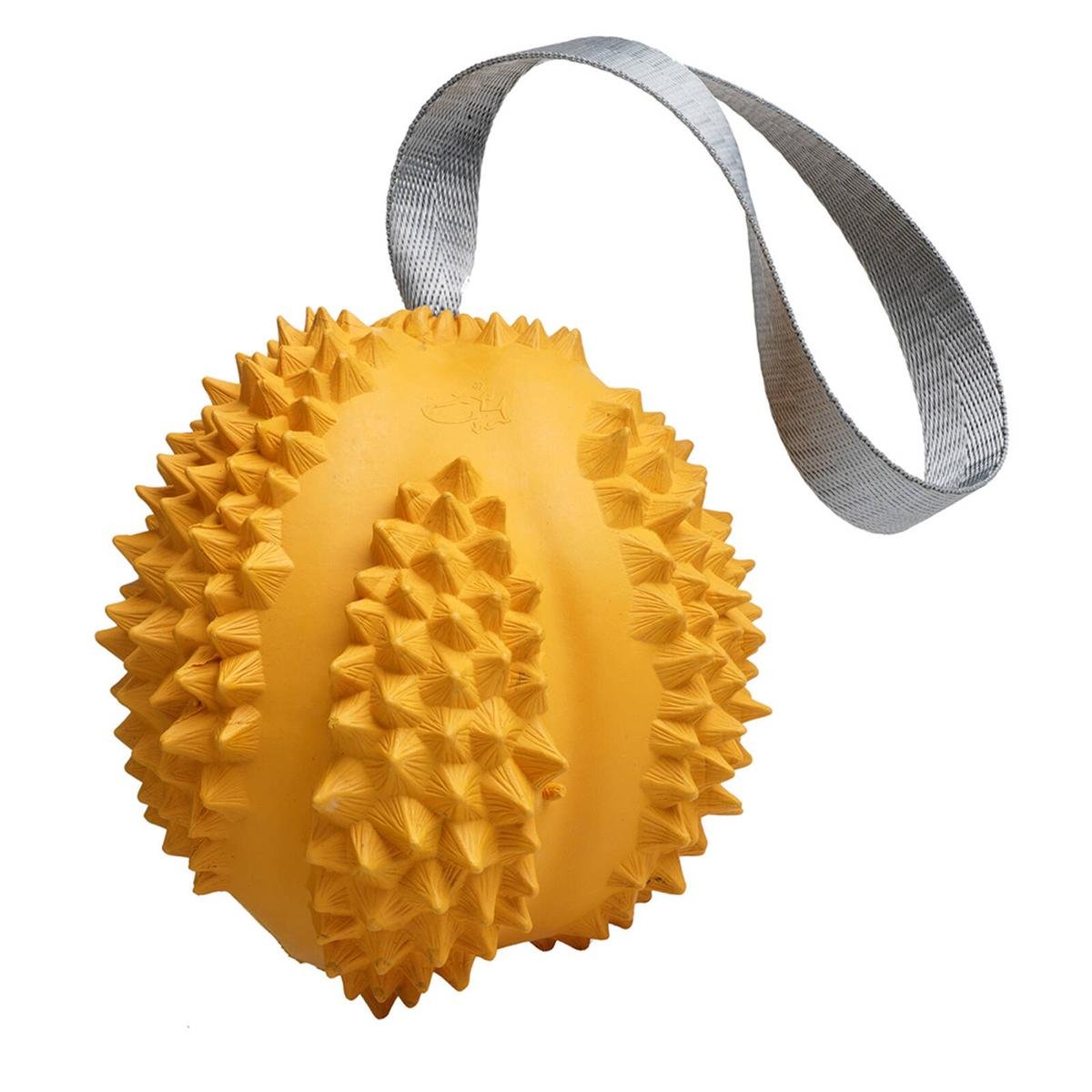 Petopia Ultra Tough 11cm Rubber Durable Durian Dog Toy Large - Assorted - Bunnings Australia