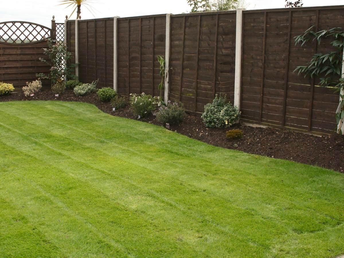 Six Steps To Your Best Lawn Edge Yet - Bunnings Australia