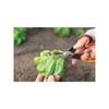 Fiskars Garden Scissors Solid Vegetable Sheers SP240 - Bunnings Australia