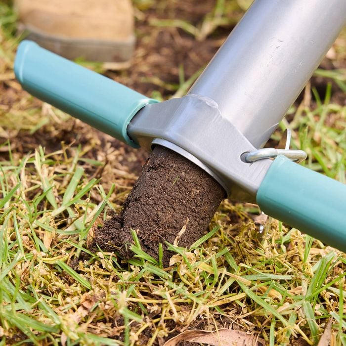 Cyclone Soil and Lawn Plugger - Bunnings Australia