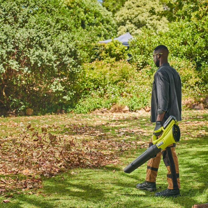 Ryobi 36V 550CFM Jet Blower 4.0Ah Kit R36BLW54 - Bunnings Australia